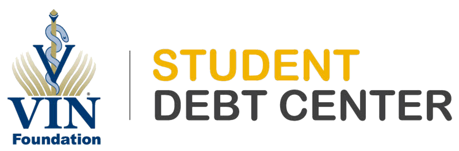Repay Wiser - VIN Foundation