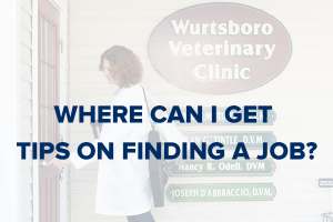 Veterinary Resumes - VIN Foundation